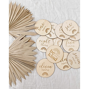 Baby Monthly Milestone Wooden Discs 12 Double Sided (24 Designs) Cards, Hello World Sign, Newborn Photo Props, Welcome Announcement, Hospital Birth Gift, Pregnancy Journey, Age Blocks