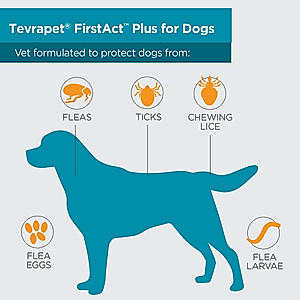 FirstAct Plus Flea Treatment for Dogs, Medium Dogs 23-44 lbs, 3 Doses, Same Active Ingredients as Frontline Plus Flea and Tick Prevention for Dogs