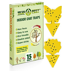 15 pcs Gnat Traps for House Indoor, Fungus Gnat Sticky Traps for Plants, Sticky Traps for Gnats - Plant Sticky Traps for Bugs, Sticky Fly Traps for Plants Trap Fungus Gnat, Fruit Fly and Other Insects