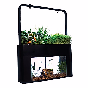 AquaSprouts Garden, Self-Sustaining Desktop Aquarium Aquaponics Ecosystem Kit, fits Standard 10 Gallon Aquariums