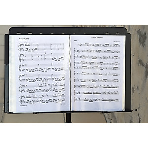 WOGOD Music Sheet File Paper Documents Storage Folder Holder Plastic.A4 Size,40 Pockets (Black)