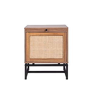 SeokIljin Natural Rattan Door Nightstand,with 1 Rattan Door Drawer,Rustic Bedside Table Cabinet Accent Table with Sturdy Metal Leg for Living Room,Bedroom
