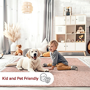 nuLOOM Neva Modern Tasseled Shag Area Rug, 7x9, Pink