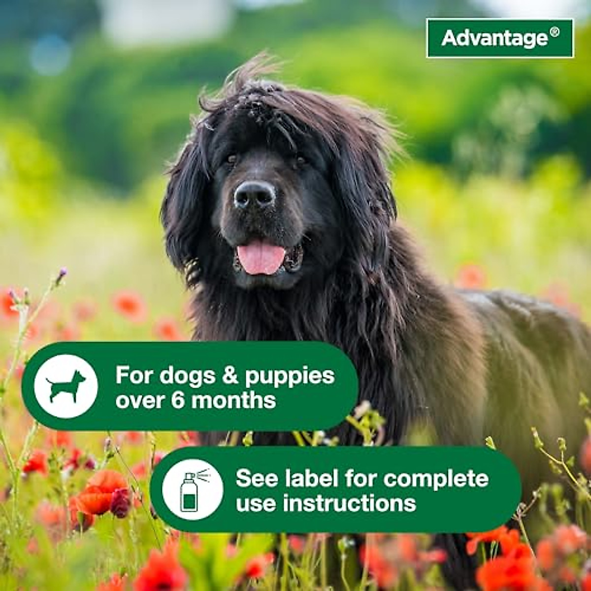 Advantage Dog Flea Treatment Spray | Kills Fleas & Ticks | Dog Flea Spray | 8 oz.