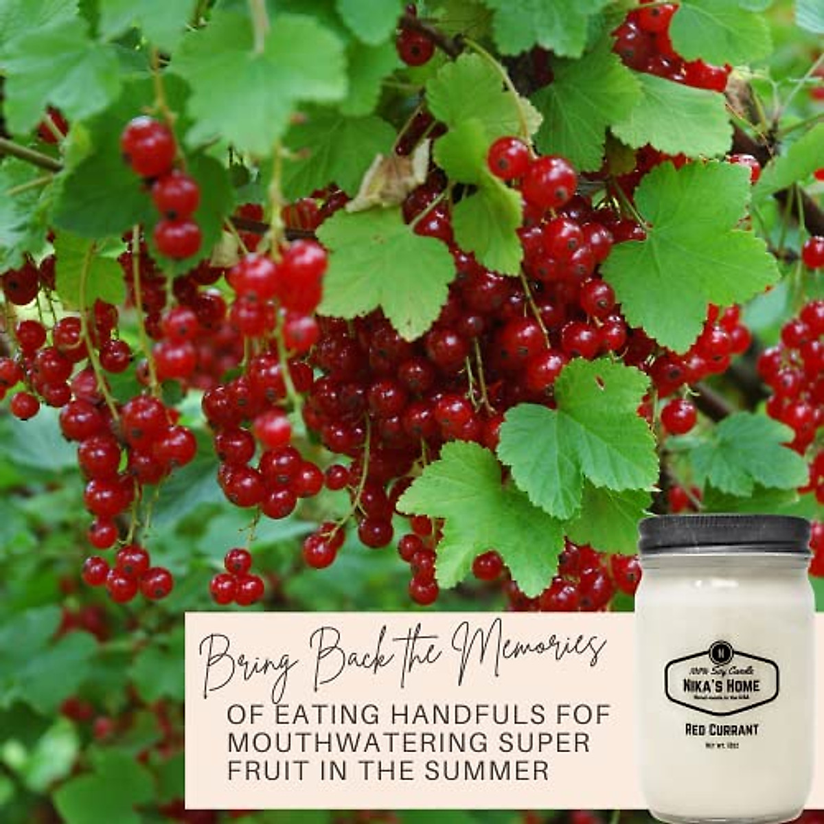 Nika's Home Red Currant Soy Candle 12oz Mason Jar Non-Toxic White Soy Handmade Long Burning 50-60 Hours Highly Scented All Natural Clean Burning Large Candle Gift Décor