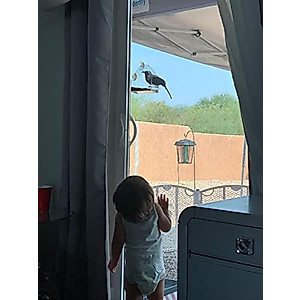 Window Bird House Feeder with Extra Strong Suction Cups Clear Bird Seed Holder for Outside Birdhouse Shape WMBF0001