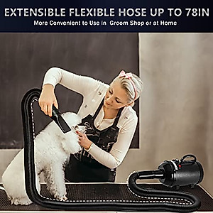 AIIYME Dog Dryer, 4.3HP/3200W Dog Hair Dryer Dog Pet Grooming Blow Dryer with Adjustable Airflow Speed and Temperature, 78 in Flexible Hose, 4 Nozzles, Pro High Velocity Dryer/Blower for Dogs