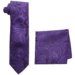 STACY ADAMS mens Classic Style Reg necktie, Purple, Regular US