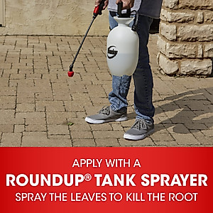 Roundup Concentrate Plus Weed and Grass Killer - Includes Easy Measure Cap, 64 oz.