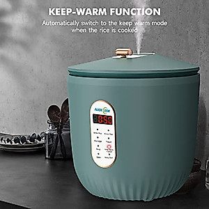 Audecook Mini Rice Cooker, 4 Cups (Uncooked) 2L Portable Small Rice Cooker with Removable Non-Stick Inner Pot, 6 in 1 Smart Control Multifunctional Cooker, Delay Timer & Keep Warm Function (Green)