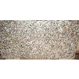 48" x 30" inch Random Design Table Top Mother of Pearl, Abalone Shell Center Table, Coffee Table, Patio Table, Living Room Table, Piece Of Conversation