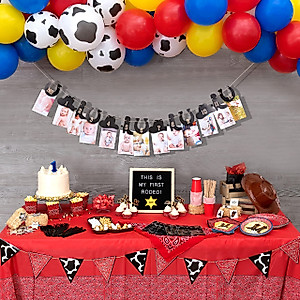 Western Cowboy Monthly Photo Banner - My First Rodeo 1st Birthday Party,cowboy First Birthday Decorations Photo Banner,newborn to 12 Months,cow Birthday Photo Display