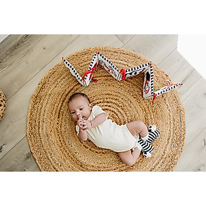 Genius Babies | Adorable Black & White Pair of Panda Baby Booties with Rattle Inside for Newborns and Infants