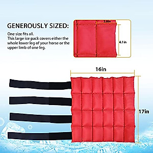 Harrison Howard Ice Boot for Horse Cool Gel Pack Leg Wrap for Treating Full Leg, Knee, Hock Injuries Reusable Ice Cooling Therapy, Universal Size-Red