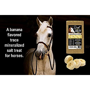 Kalmbach Feeds Sweet N Salty Banana Flavored Salt Treat Brick for Horses, 4 lb