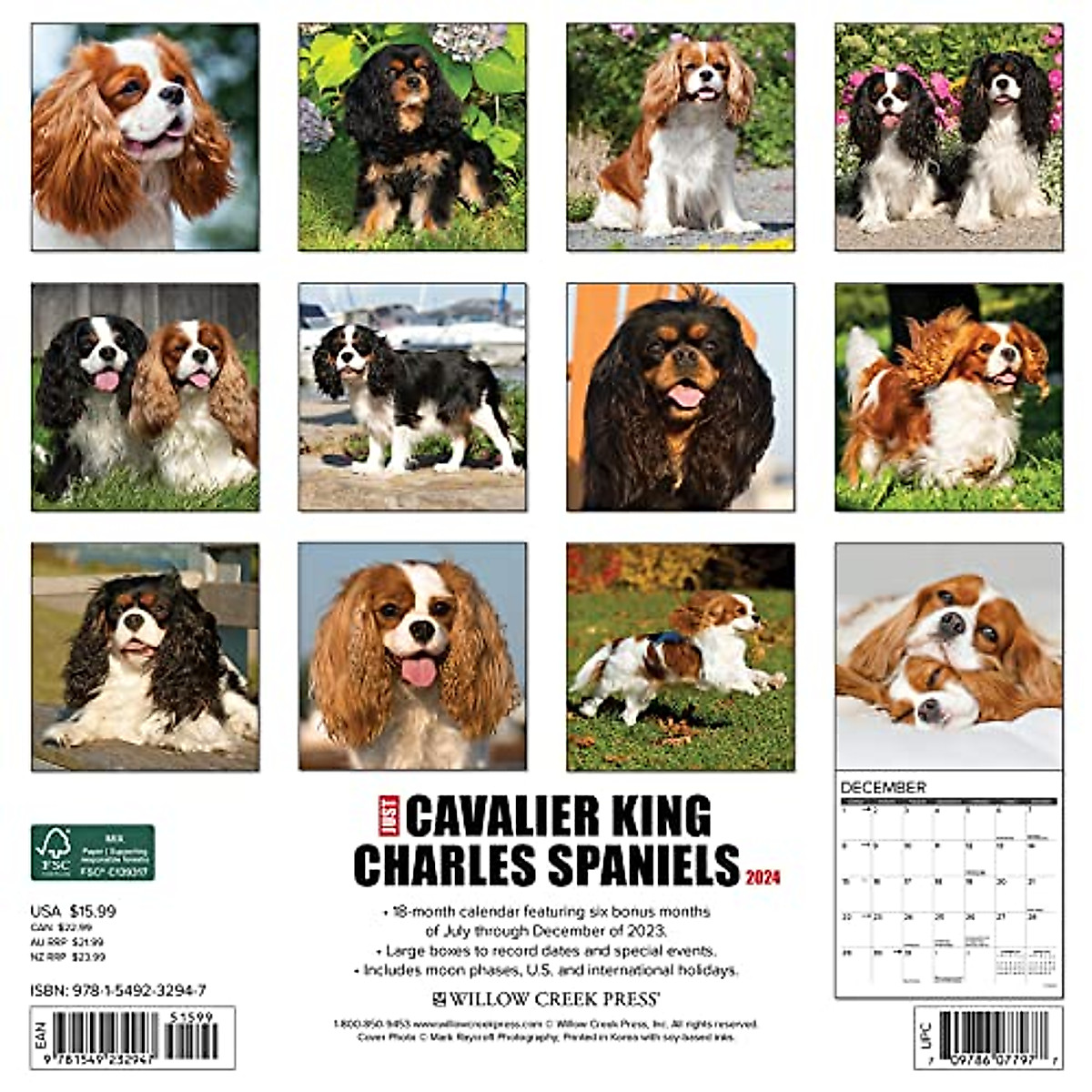 Willow Creek Press Cavalier King Charles Spaniels Monthly 2024 Wall Calendar (12" x 12")