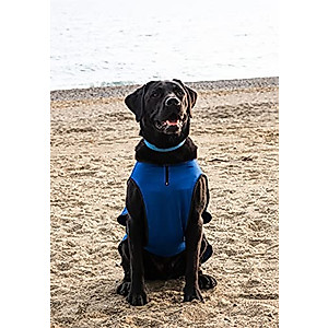Lautus Pets Dog Cooling Vest - Lightweight Dog Cooling Jacket for Dogs. (S - Small 35cm, Blue)