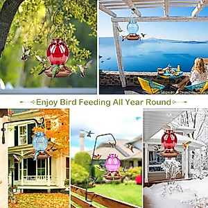 BOLITE 18016-R Hummingbird Feeder, Glass Hummingbird Feeder for Outdoors, Meshy Texture Ball Shape Bottle, 18 Ounces, Red, Xmas Gifts for Bird Lovers