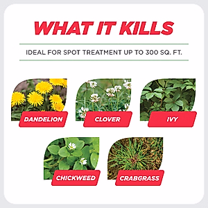 Earth's Ally Weed and Grass Killer Concentrate | Safe, Pet-Friendly Natural Weed Control Spray for Patios, Driveways & Sidewalks, Makes 1 Gallon