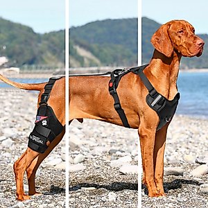 Virbraroo Dog Leg Brace for Torn Acl Hind Leg,8X Support Dog Knee Brace with Metal Strips for Joint Pain Relief, Rear Leg Brace with Adjustable Traction Belt for Cruciate Ligament Injury (L)