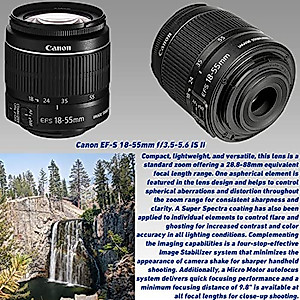 Canon Intl. EOS Rebel T7 DSLR Camera with EF-S 18-55mm f/3.5-5.6 is II Lens & Starter Accessory Bundle: SanDisk Ultra 64GB SDXC, Extended Life Replacement Battery, Water Resistant Gadget Bag & More