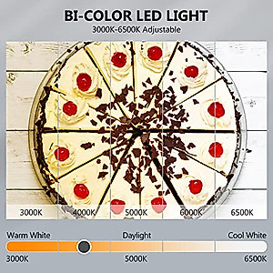 Photo Light Box Photography, Takerers Bi-Color Dimmable 24 x 24 inch Background Studio Shooting Tent Kit, 6 Color Backdrops, Foldable Picture Lightbox with 240 LED, 3000-6500K Lighting Booth