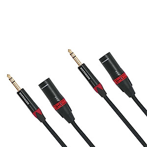 Rannsgeer 2 Pack 1/4 Inch TRS to XLR Male 1 Feet Cable (1 Ft 2 Pack)