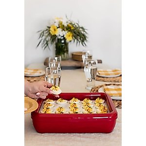 Fancy Panz Deviled Egg Trayz Insert for use with Fancy Panz Classic, Premium & 2in1. Holds 20 eggs