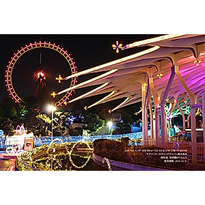 Canon DSLR Camera EOS Kiss X7 (White) with EF 40mm F2.8 STM + EF-S 18-55mm F3.5-5.6 IS STM - International Version (No Warranty)