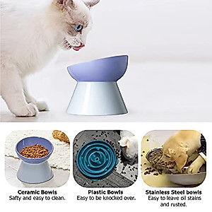 Y YHY Raised Cat Food Bowl, Tilted Elevated Cat Bowl 6 Inch Anti Vomiting for Food and Water Orthopedic Cat Bowls for Flat Faced Cats, Small Dogs, Protect Pet's Spine