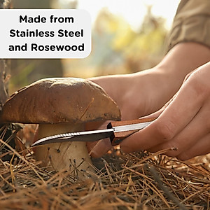 Wrenbury Mushroom Knife with Brush Folding – Mushroom Foraging Knife for Bountiful Harvesting – With Black Sheath and Presentation Box – 3” Blade