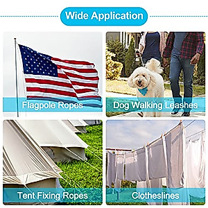 Flag Pole Rope Kit - 100ft Flag Pole Halyard Rope 1/4" Thick with 4 Pcs Zinc Alloy Swivel Snap Hooks for Flagpoles Up to 50ft, Double Braided Nylon Flagpole Line Rope Outdoor Flagpole Accessories