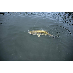 Yum Dinger Classic Worm All-Purpose Soft Plastic Bass Fishing Lure 100 Pack, Watermelon Red Flake, 5 Inch