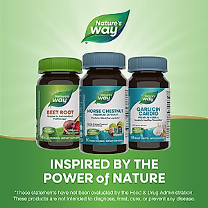 Nature's Way Standardized Horse Chestnut, Premium Extract, Promotes Healthy Leg Veins*, 250 mg per Serving, Vegan, 90 Capsules (Packaging May Vary)