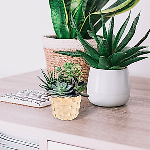 SAFIGLE Wicker Trash Can Bathroom Trash Can Bamboo Desk Paper Wastebasket Straw Basket Weaving Organizer Bamboo Storage Basket Rattan Trash Can