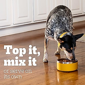 PEDIGREE Adult Canned Wet Dog Food Chopped Ground Dinner Variety Pack (18) 3.5 oz. Pouches