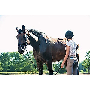 Horse Grooming Kit （10-Piece） with Tote，Horse Cleaning Tool Set with Assorted Hair and Curry Comb, Hoof Pick Sweat Scraper，Grooming Scissors，Portable Black Storage Bag，Riding Equipment for Beginners