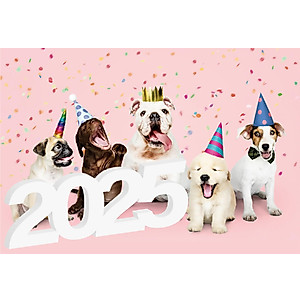 Large 2025 Sign Gradutaion Decorations 2025 Senior Photo Booth Props Grad Centerpieces for Table Decor, Number 2025 Letter Sign for Grad Party Supplies 2025 New Year Wedding Decor - White 15.6"