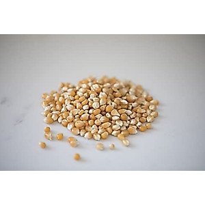 Amish Country Popcorn | 6 lb Bag | Mushroom Popcorn Kernels | Old Fashioned, Non-GMO and Gluten Free (Mushroom - 6 lb Bag)