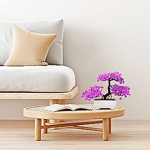 ZEEOZE Artificial Bonsai Tree Cloud Pine Bionic Plant Indoor Small Fake Plants Decor Zen Garden Desk Home Desktop Office Bathroom Shelf Bedroom Living Room Decorations (Rose Red)