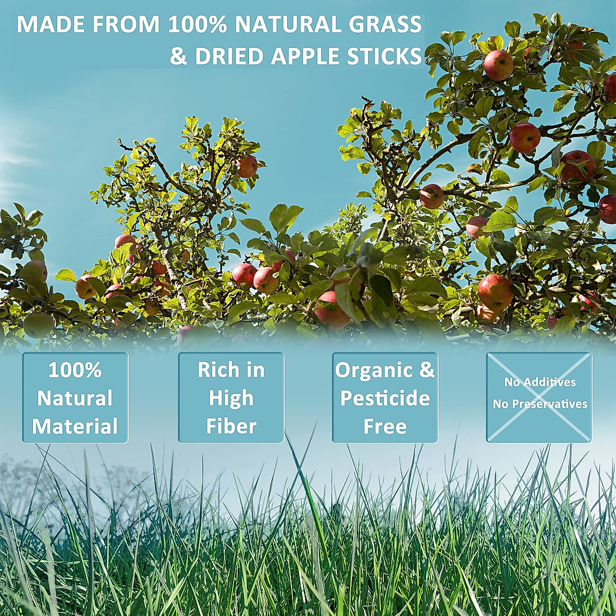 Arespark Pack-2 Rabbit Chew Toys, Organic Bunny Toys Apple Wood Branches/Timothy Hay Straw Cakes, Teeth Grinding Chew Treats for Guinea Pig Hamster Bunny Small Rodent, Juguetes para Conejos