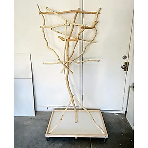 Exoticdad Parrot Stand - Reptile Birds Perches For Parrots - Wood Perches Stand For Parrot - Uniquely Sanded ,Custom Made Designed For Parrots, Cockatoo, Parakeets- 2ft x 3ft Base and 5.5-6ft Height