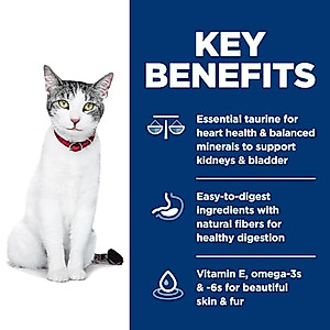 Hill's Science Diet Adult 11+, Senior Adult 11+ Premium Nutrition, Dry Cat Food, Chicken Recipe, 15.5 lb Bag