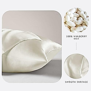 HYDE LANE 25 Momme 100% Pure Mulberry Silk Pillowcase for Hair and Skin with Hidden Zipper, Both Side Grade 6A Silk, Luxury Smooth and Soft,Real Silk Pillow Case, 1pc Queen 20''x30'',Ivory White