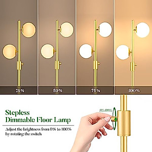 bulbeats Mid Century Floor Lamp, S Sytle Gold Floor Lamp with 2 Shatterproof Globe, 59Inch Modern Standing Lamp for Living Room,