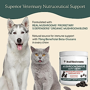 Mushroom Immune Support Pet Chews (60ct) Treats for Dogs – Immune Booster Supplements for Pets with Ashwagandha, Astragalus, Blueberry, Olive Leaf, Acerola &Gut Health for Dogs and Cats