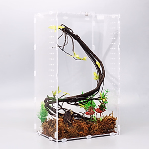 Aiicioo Micro Habitat Terrarium Enclosure 8x6x14 Inches Tarantula Enclosure Box Insect Habitat Clear Acrylic Reptile Feeding Tank for Jumping Spiders Insect Small Tree Dwelling Reptiles