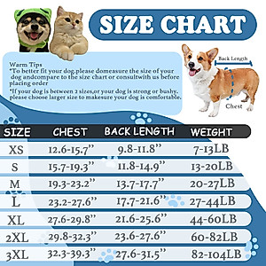 TORJOY Breathable Dog Surgery Recovery Suit for Male/Female, Professional Dog Recovery Onesie with Zipper After Spay Abdominal Wounds, Anti Licking Cone E-Collar Alternative for Small Medium Large Dog