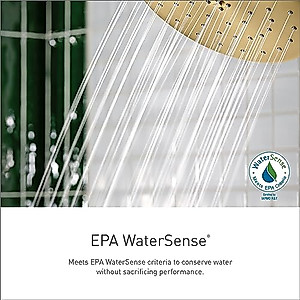 Moen Chateau Chrome Posi-Temp Bathtub Trim Kit with Shower Head, Lever Handle, and Tub Spout, TL183EP