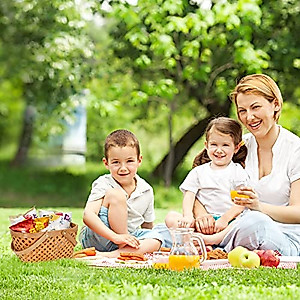 Small Woochip Wicker Baskets, Baskets for Gfits Empty, Picnic Baskets, Easter Basket, Baskets for Collecting Egss, Kids Toys, Holloween, Christmas - Honey